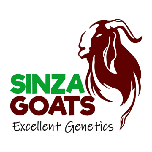 Home - Sinza Breeding