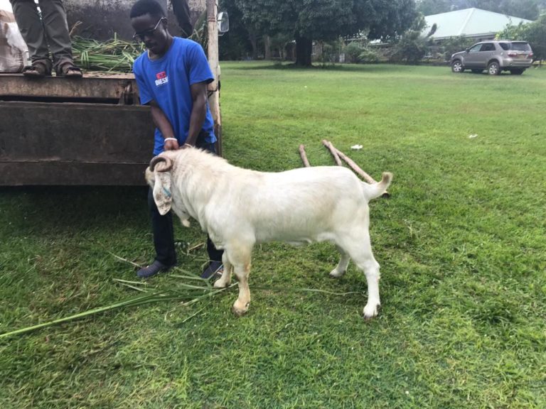 Contact - Sinza Breeding